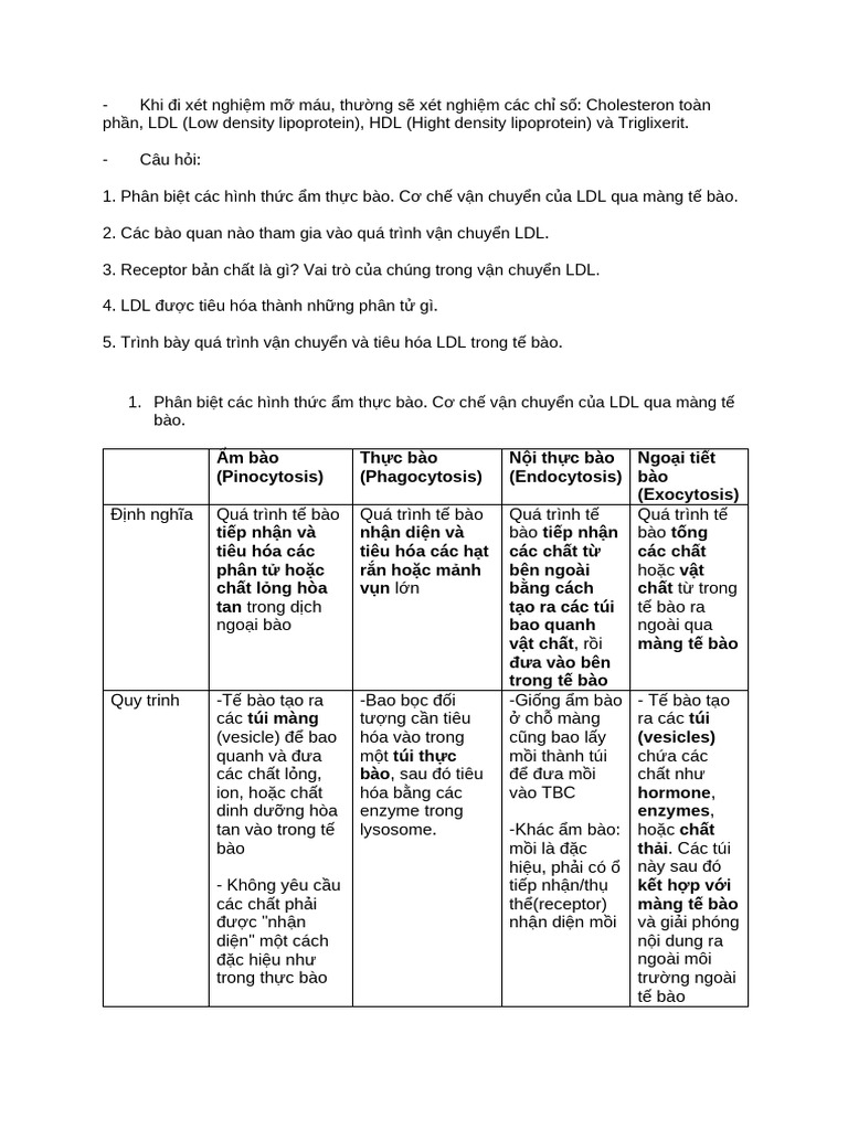 G10 YK4 SEM8 Minh | PDF