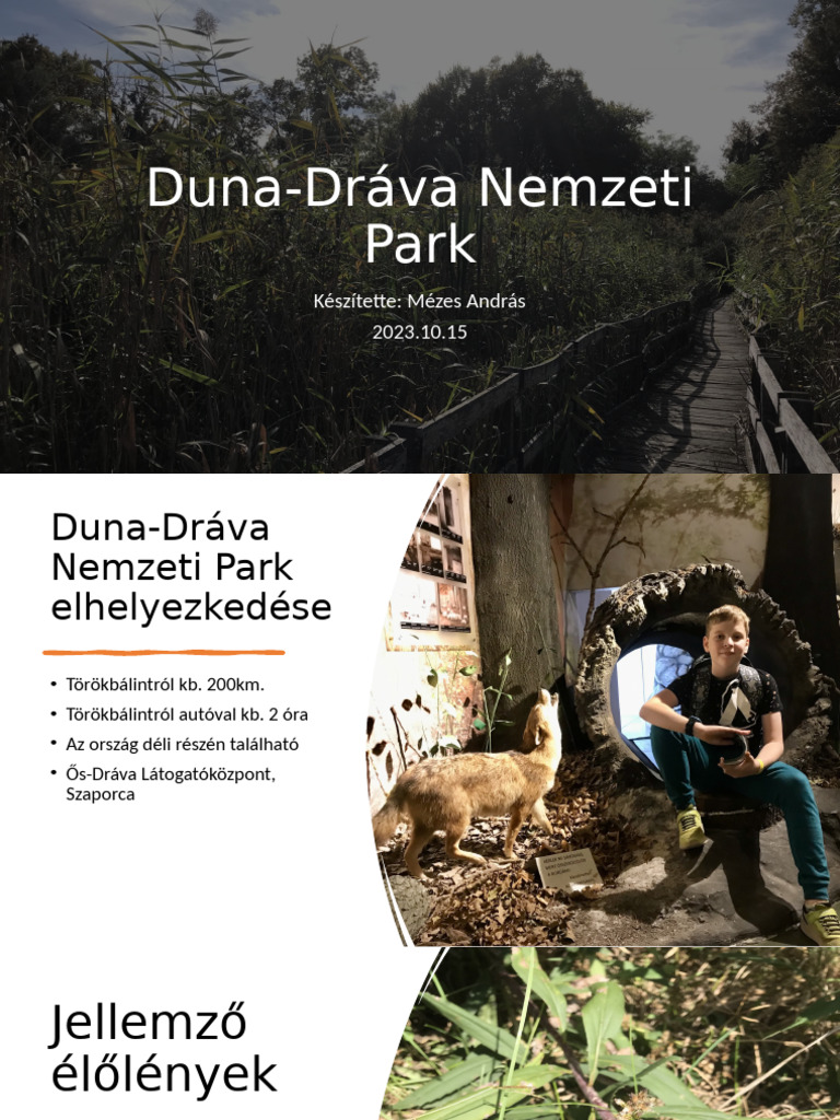 Duna Dráva Nemzeti Park | PDF