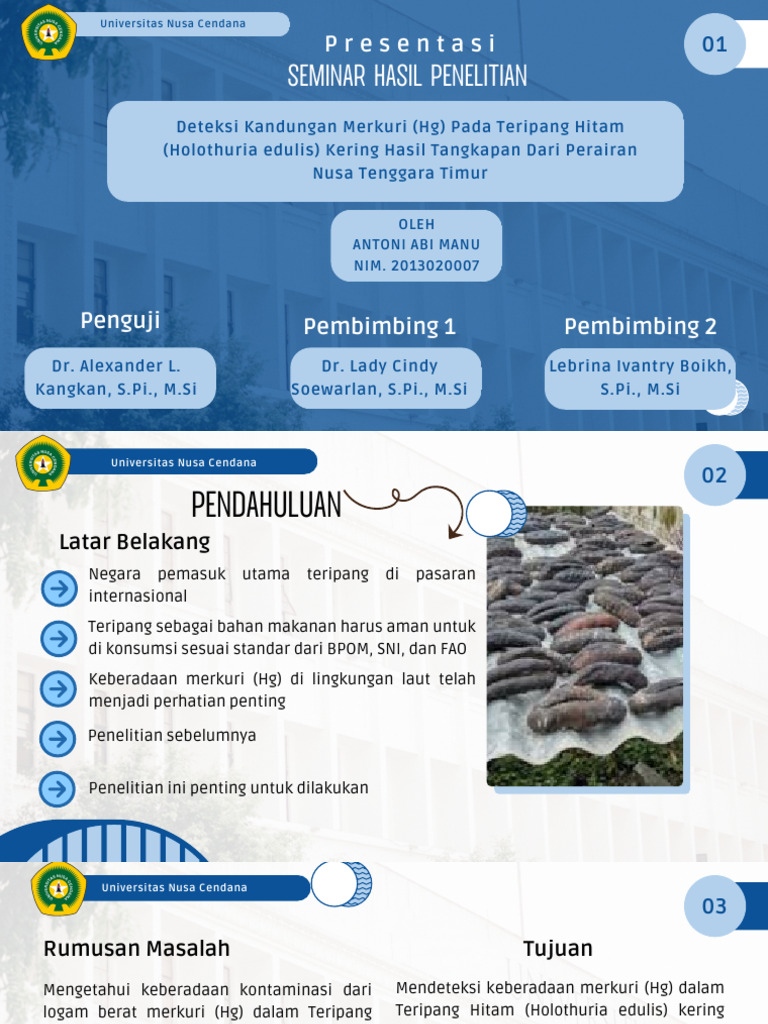 Deteksi Merkuri pada Teripang Hitam | PDF