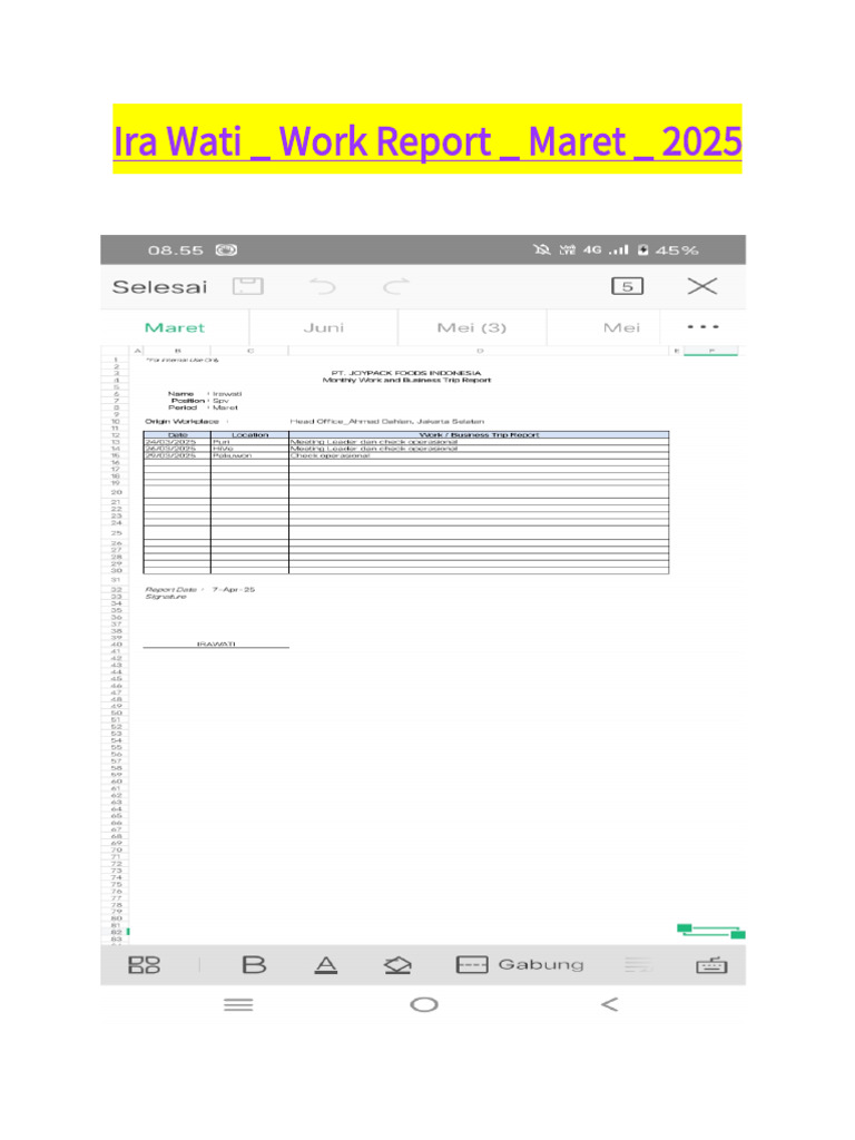 Ira Wati - Work Report & Reimburse - Maret 2025 | PDF
