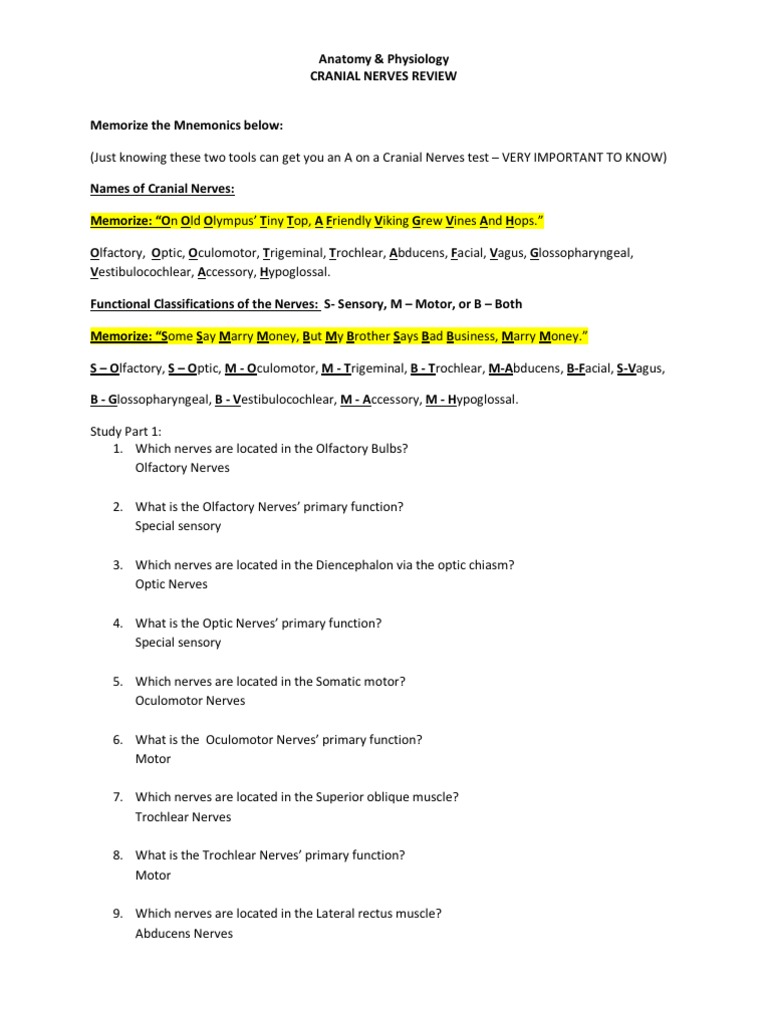 Cranial Nerves Study Guide | PDF