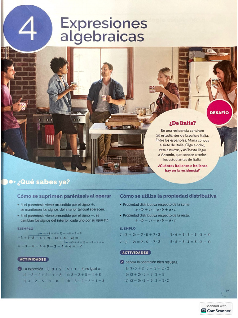 Tema 4 Expresiones Algebraicas | PDF