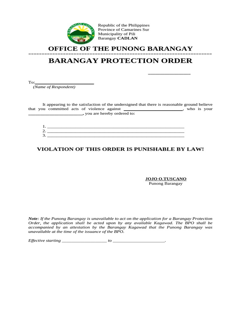 Barangay Protection Order 2 | PDF | Sex And The Law | Crime & Violence