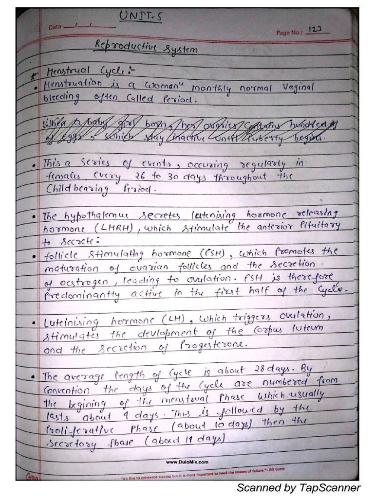 HAP 2 Unit 5 Reproductive System | PDF