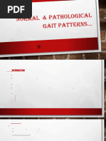 Biomechanical Subcomponents Explained - RG 2022 | PDF | Balance (Ability) | Clinical Medicine