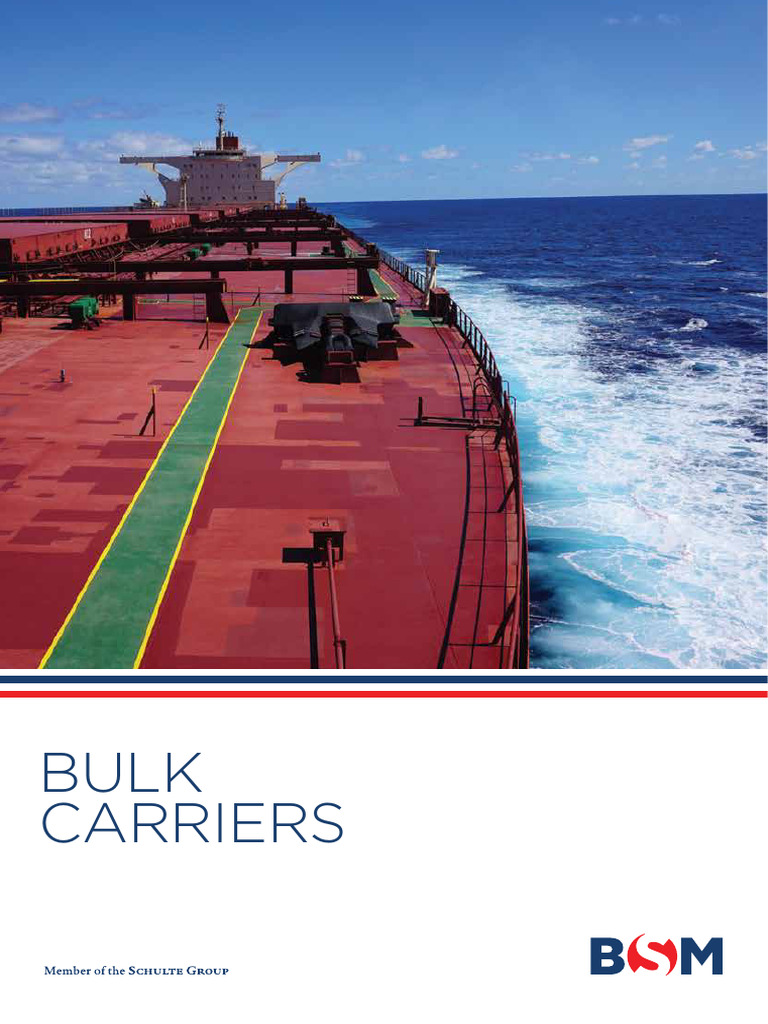 BSM One Pager Bulk Web | PDF | Watercraft | Freight Transport