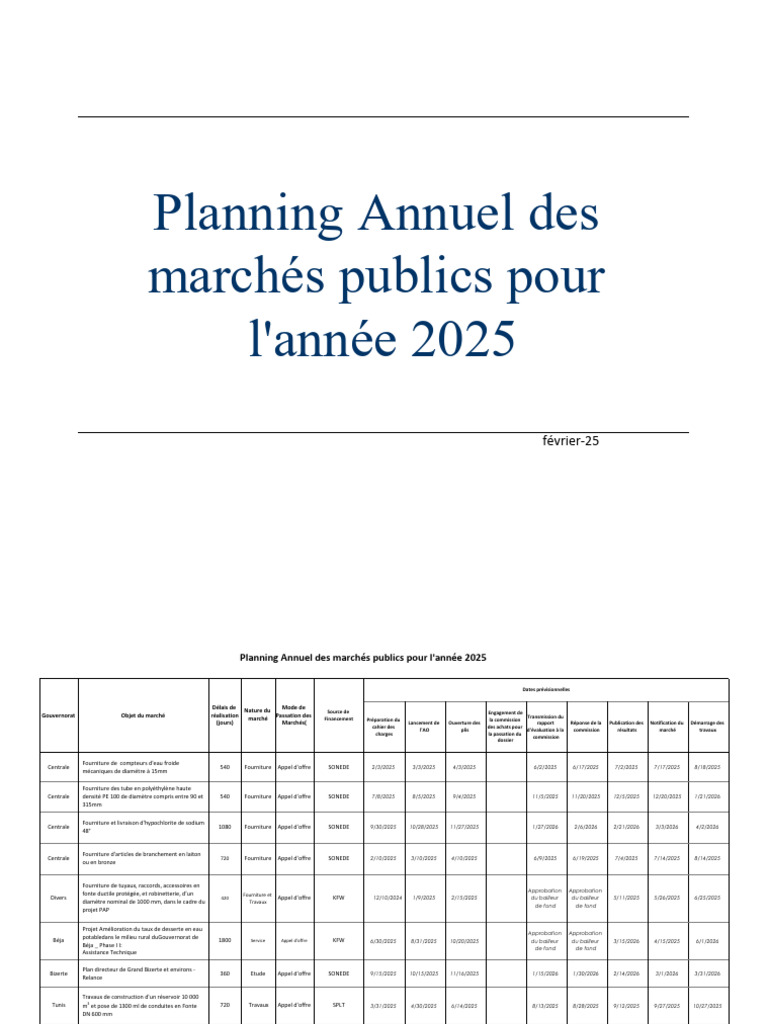PMP-2025_FR | PDF