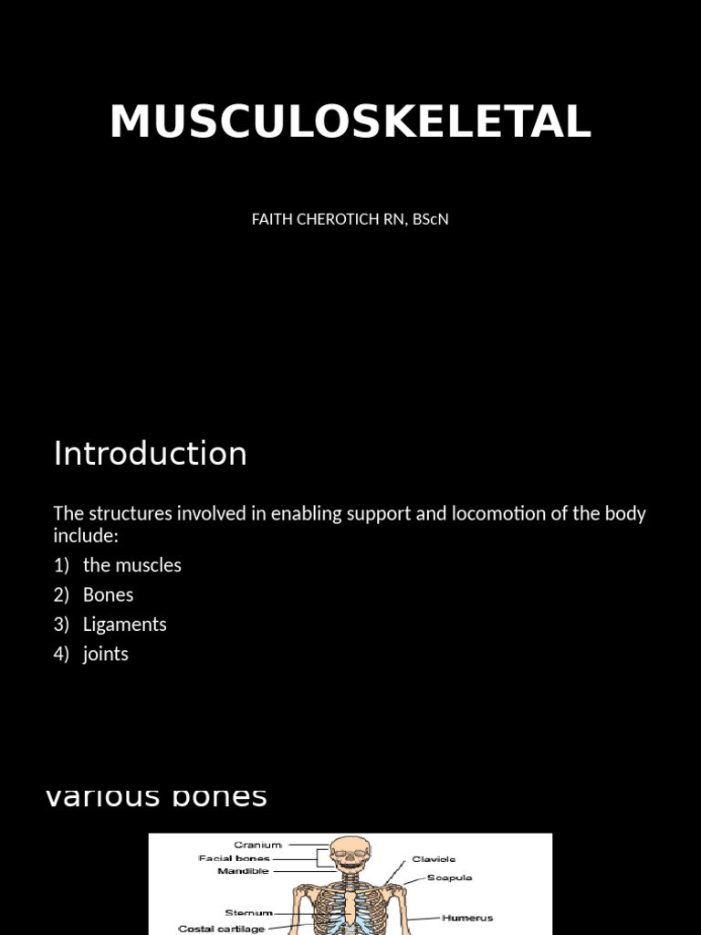 Musculo-Skeletal System | PDF | Anatomical Terms Of Motion | Bone