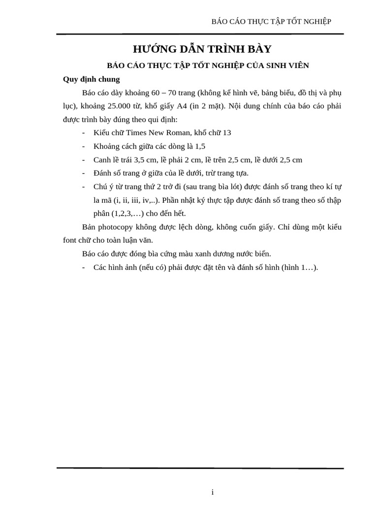 Mau Bao Cao Thuc Tap - Khoa 2025 | PDF