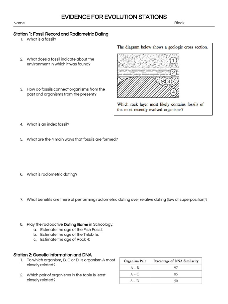 PRINT Evidence For Evolution Stations Questions | PDF | Fossil ...