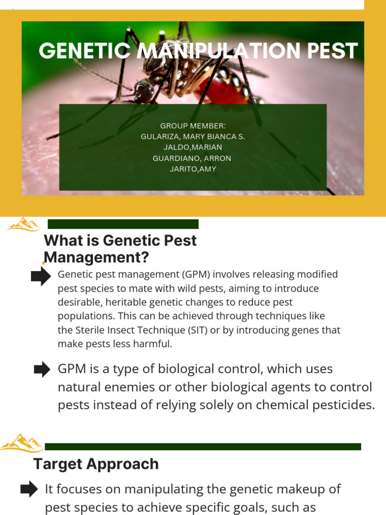 Genetic-Manipulation-Pest 20250412 103431 0000 | PDF | Genetics | Gene