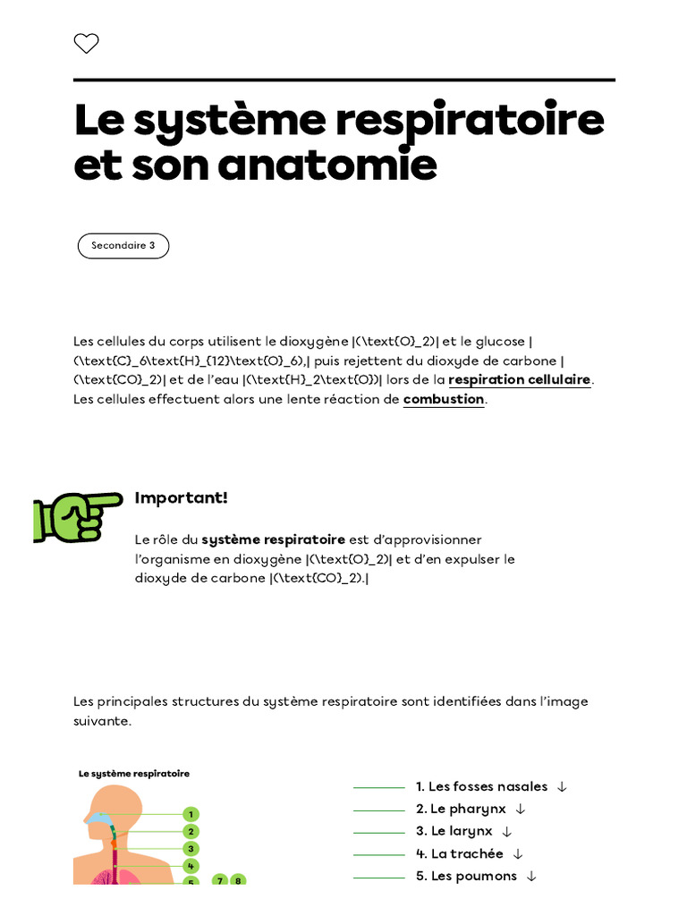 Anatomie du Système Respiratoire | PDF | Système respiratoire | Poumon