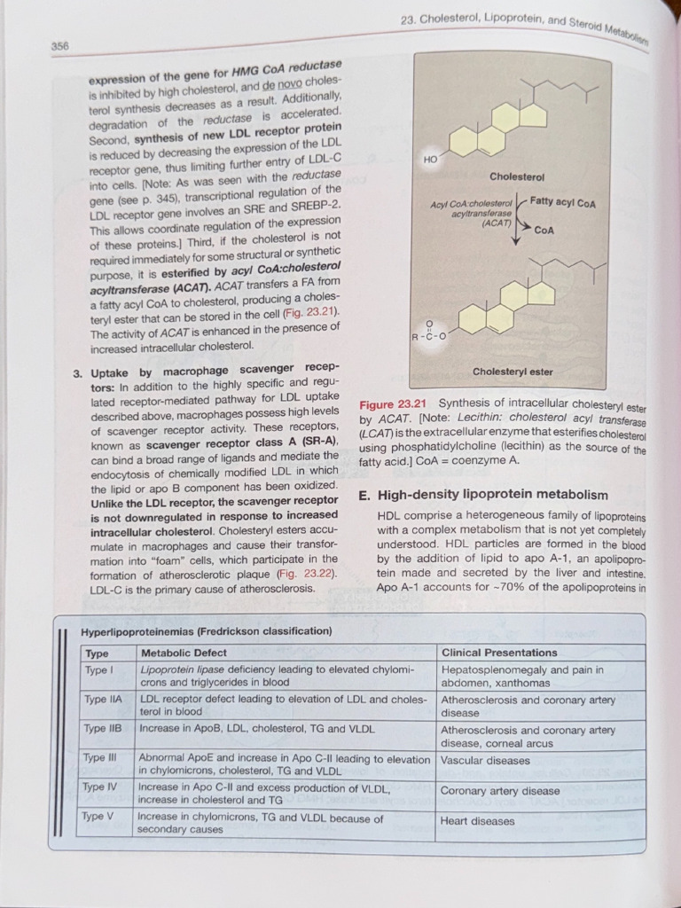 Lippincott | PDF