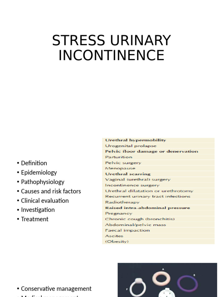 Stress Urinary Incontinence Overview | PDF