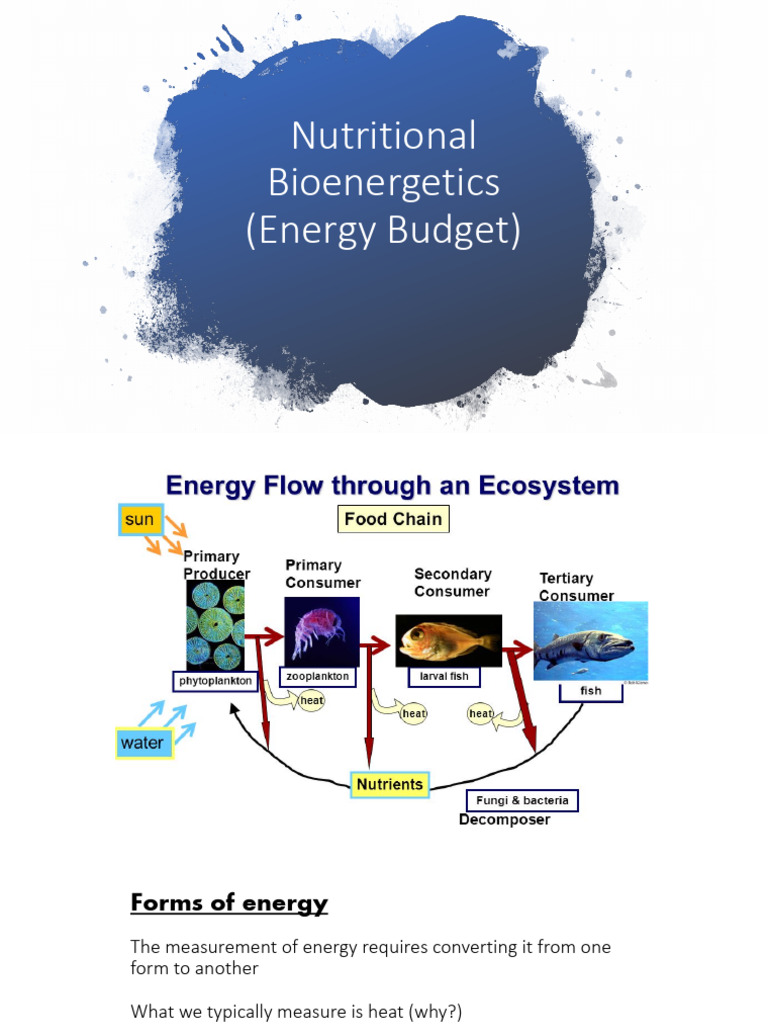 Nutritional Bioenergetics Explained | PDF | Calorie | Chemistry