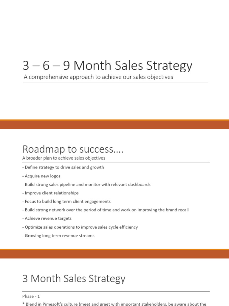 3-9 Month Sales Strategy Overview | PDF | Marketing | Sales