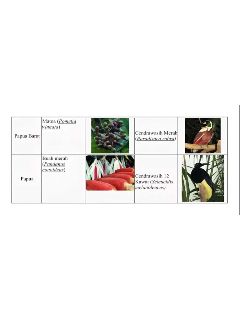 Flora Fauna | PDF
