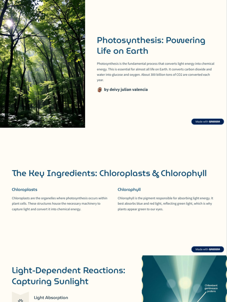 Photosynthesis Powering Life On Earth | PDF | Photosynthesis | Carbon ...