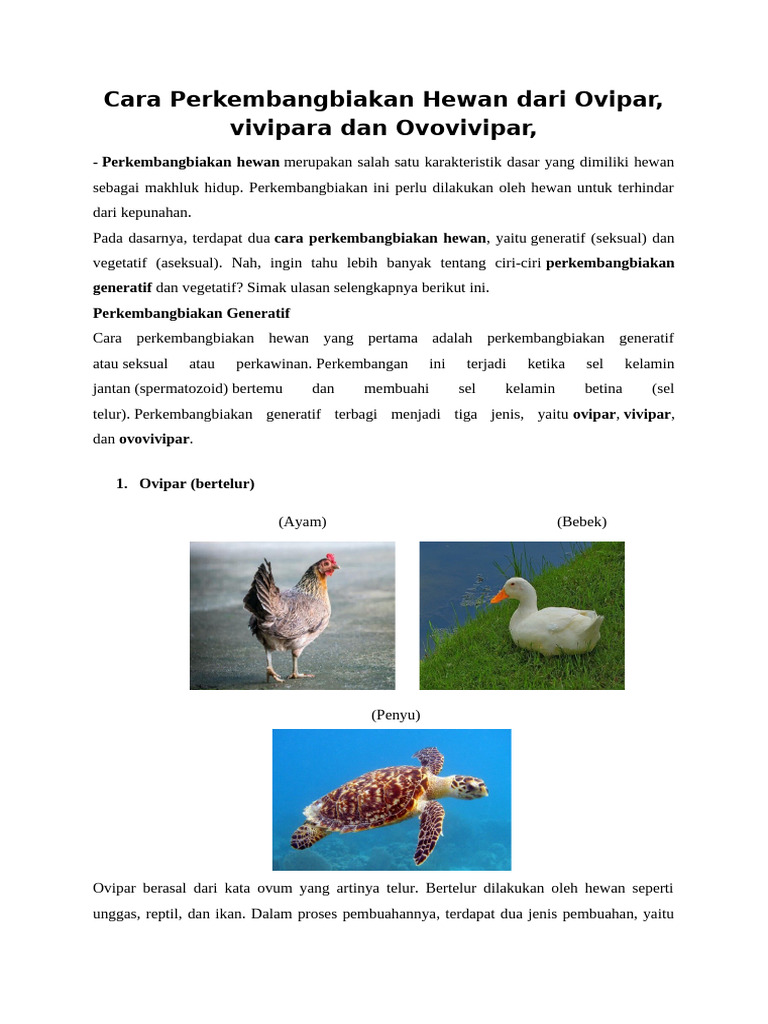 Cara Perkembangbiakan Hewan Dari Ovipar Vivipar | PDF