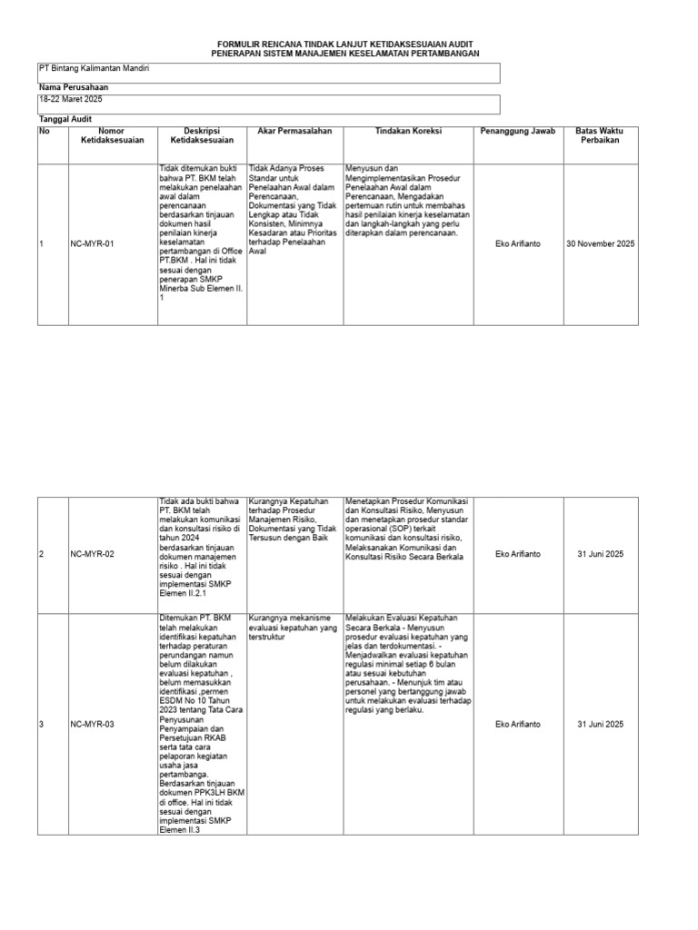 Formulir Rencana Tindak Lanjut Rizal Arbangi - Table 1 | PDF