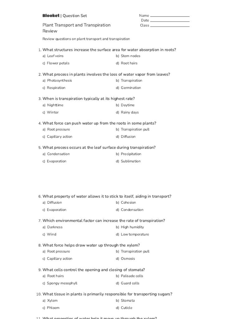 Plant Transport and Transpiration Quiz | PDF | Leaf | Stoma