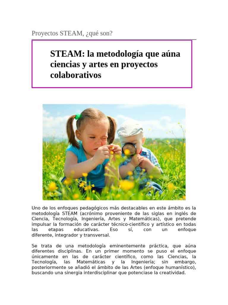 Proyectos STEAM | PDF | Aprendizaje | Educación en artes liberales