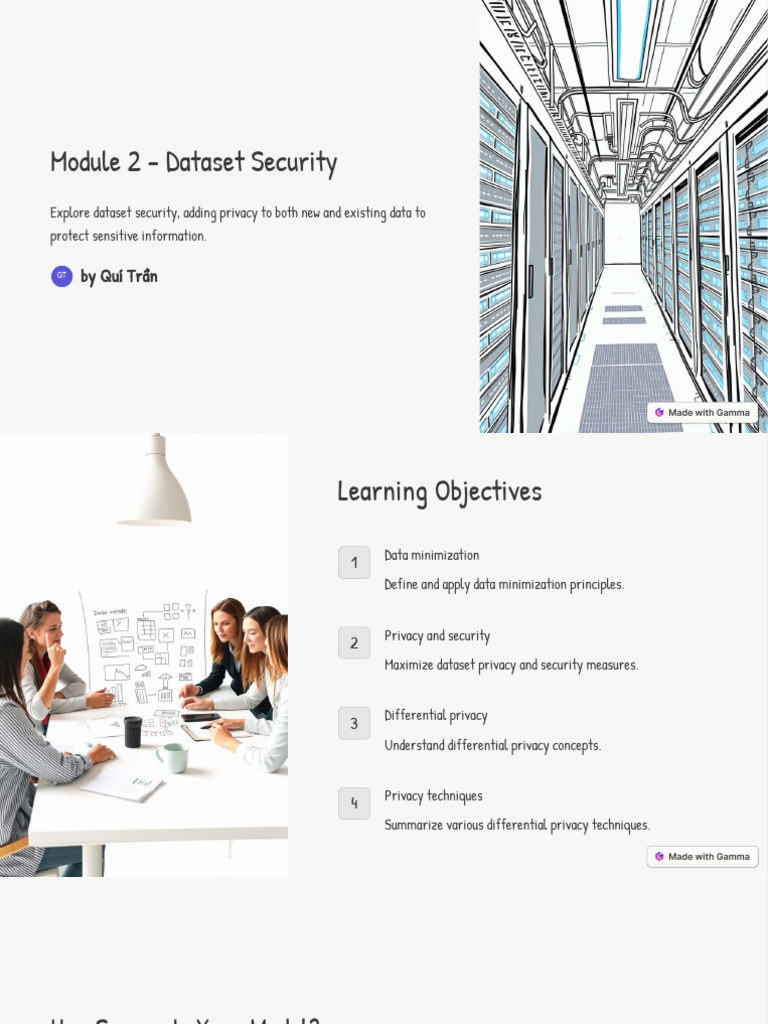 Module 2 Dataset Security | PDF