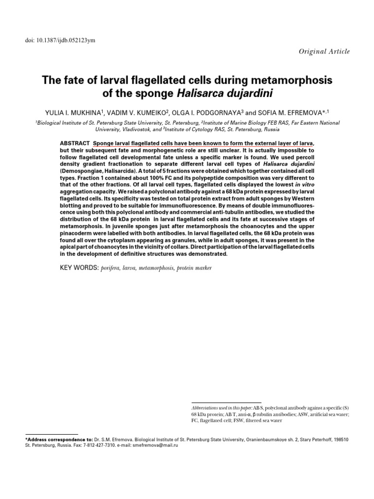 2006- The fate of larval flagellated cells during metamorphosis - 副本 ...