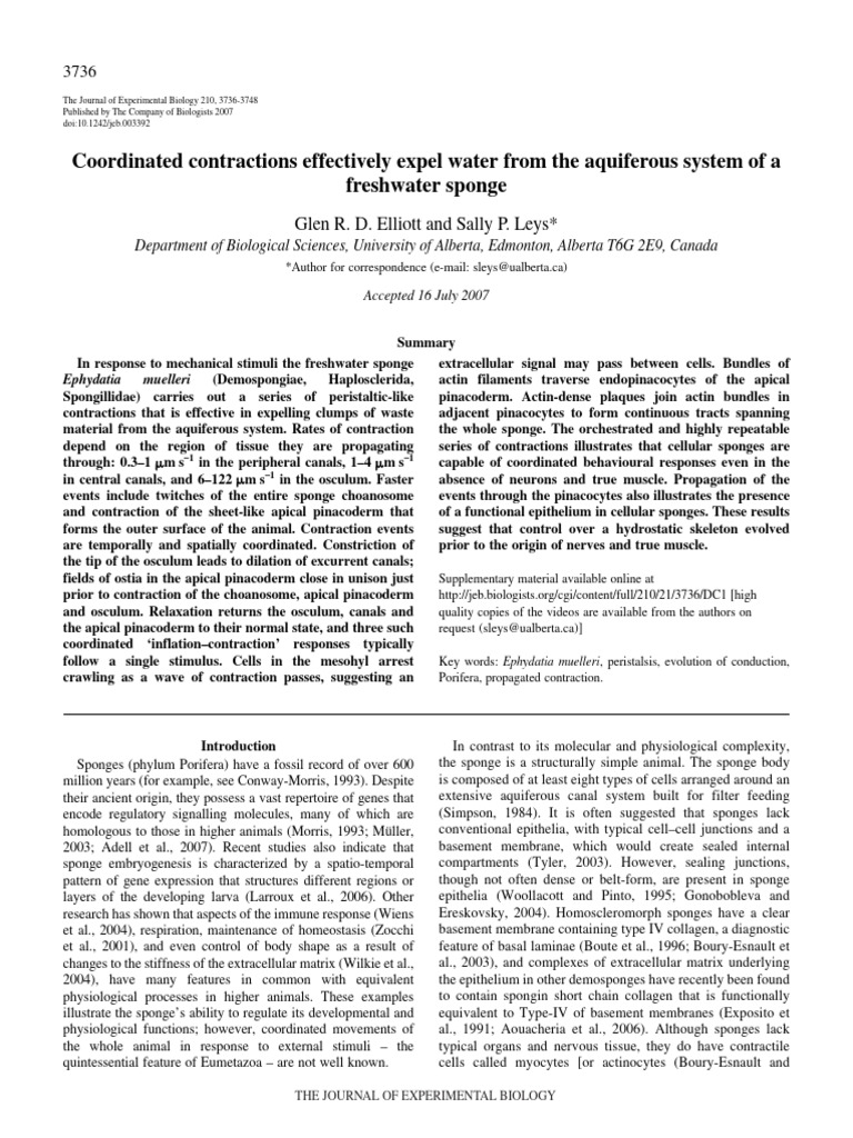 2007-Coordinated Contractions Effectively Expel Water From The ...