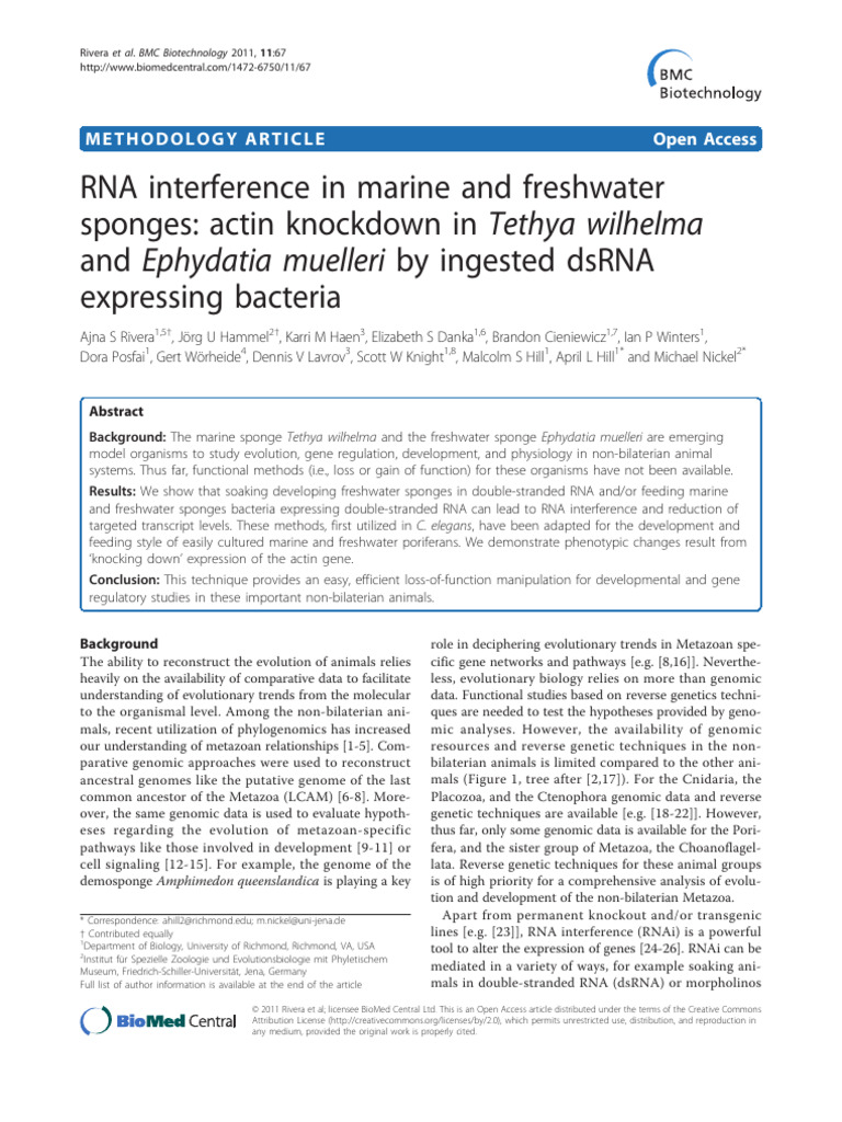 2011-RNA Interference in Marine and Freshwater Sponges Actin Knockdown ...