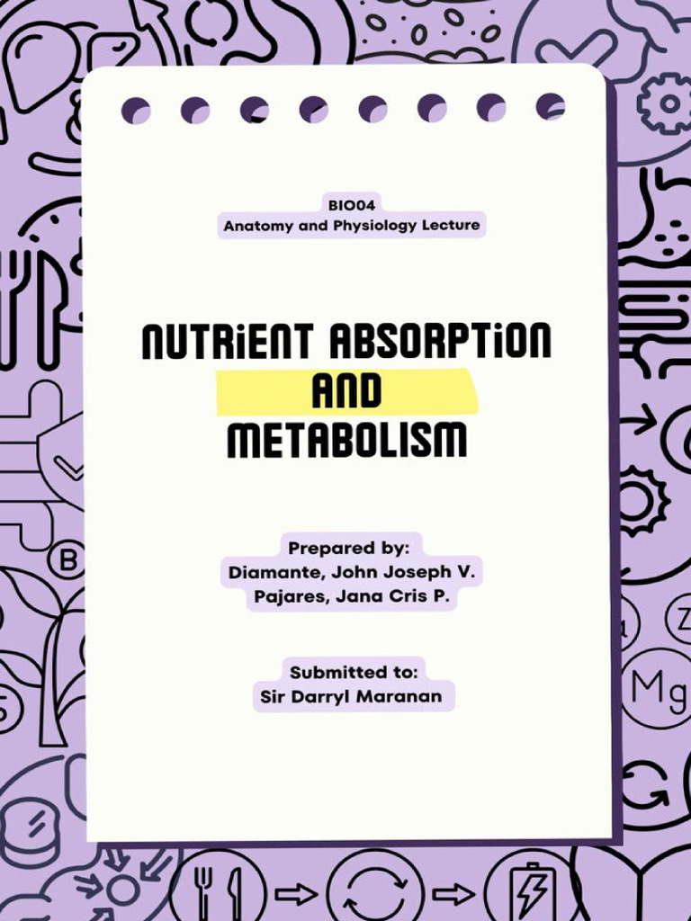 Nutrient absorption and metabolism | PDF | Small Intestine | Metabolism