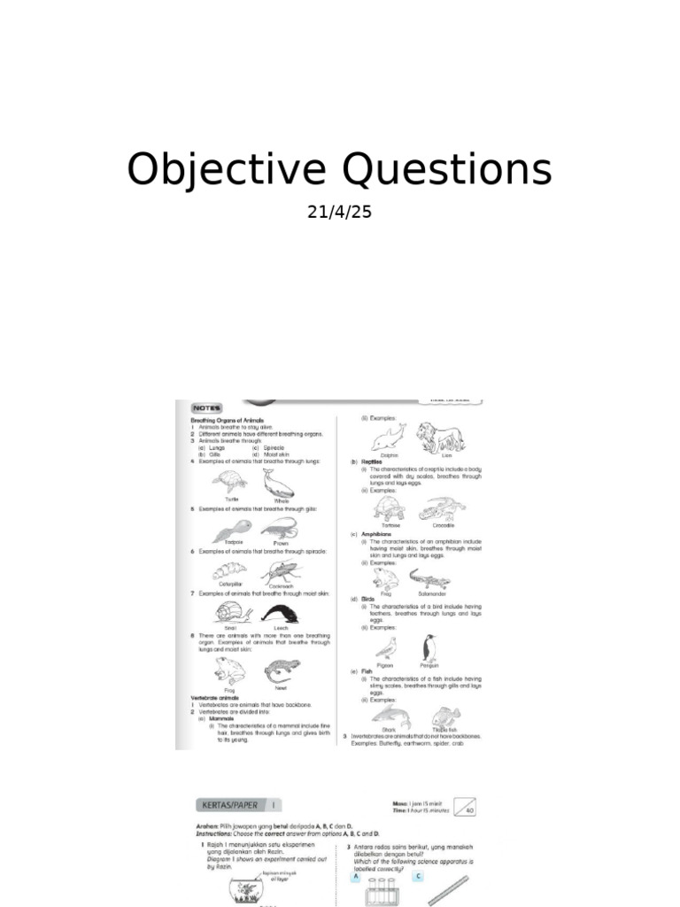 Objective Questions | PDF