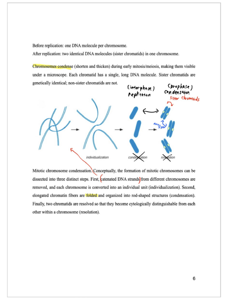 D2.1 Cell and nuclear division (Part 2) | PDF