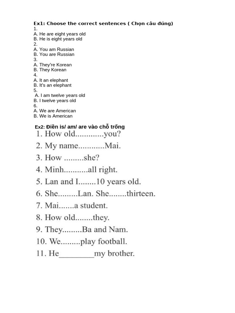 Correct English Sentences Exercise | PDF