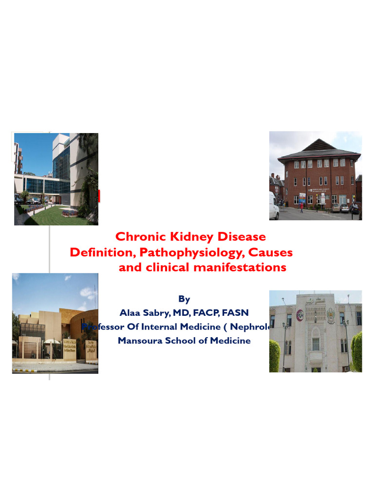 Chronic Kidney Disease Overview and Pathophysiology | PDF | Kidney ...