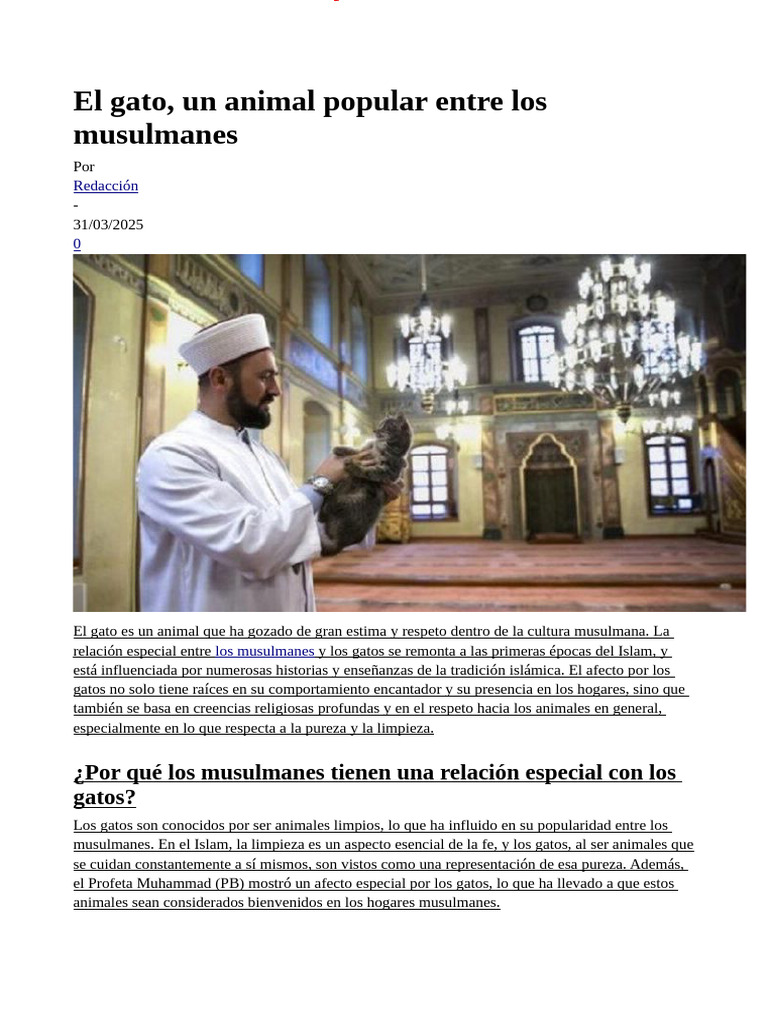 Gatos y espiritualidad en el Islam | PDF | Mahoma | Gatos