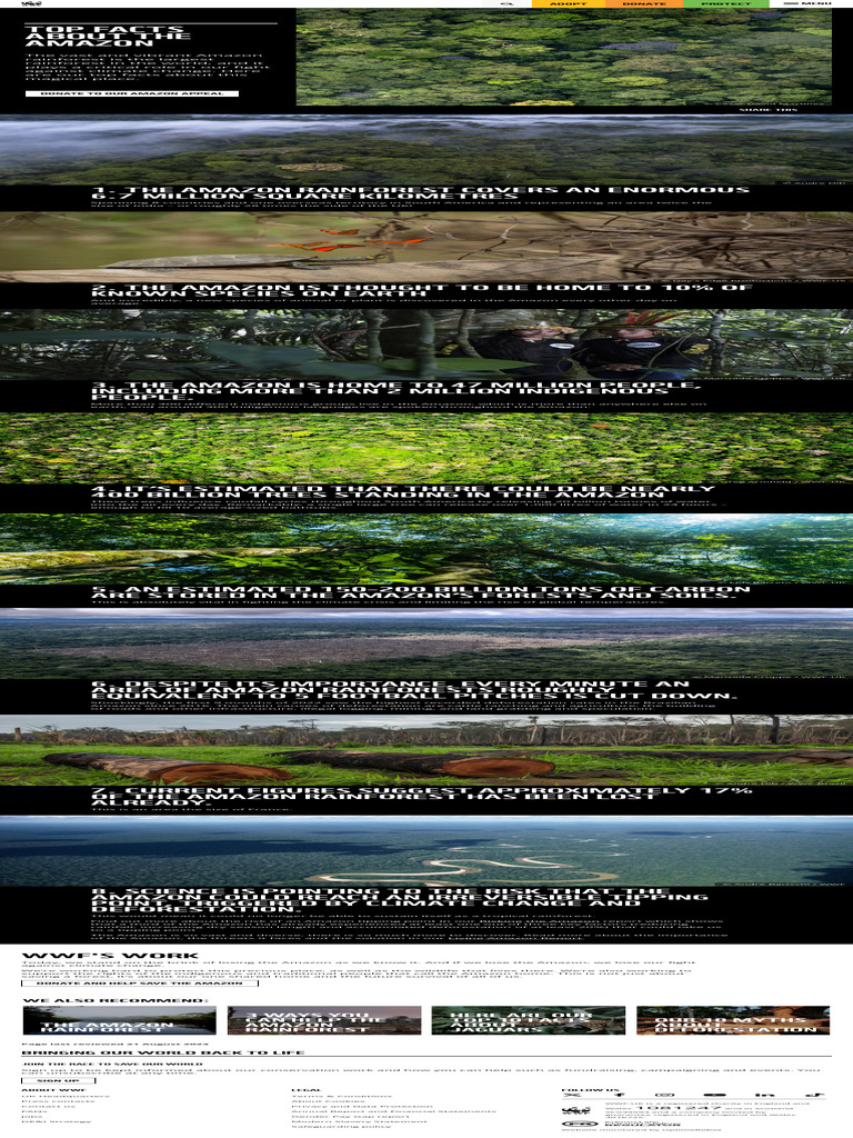 Here Are Our Top Facts About The Amazon WWF 3 | PDF | Amazon Rainforest | Deforestation