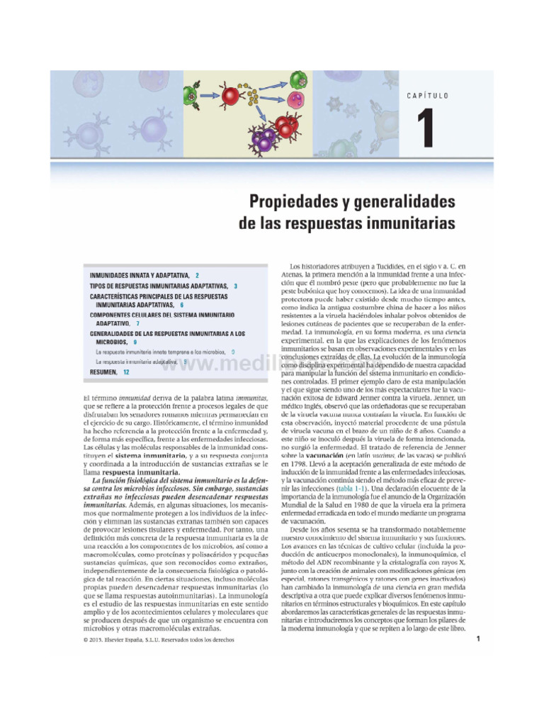 Capitulos 1-4 Abbas | PDF