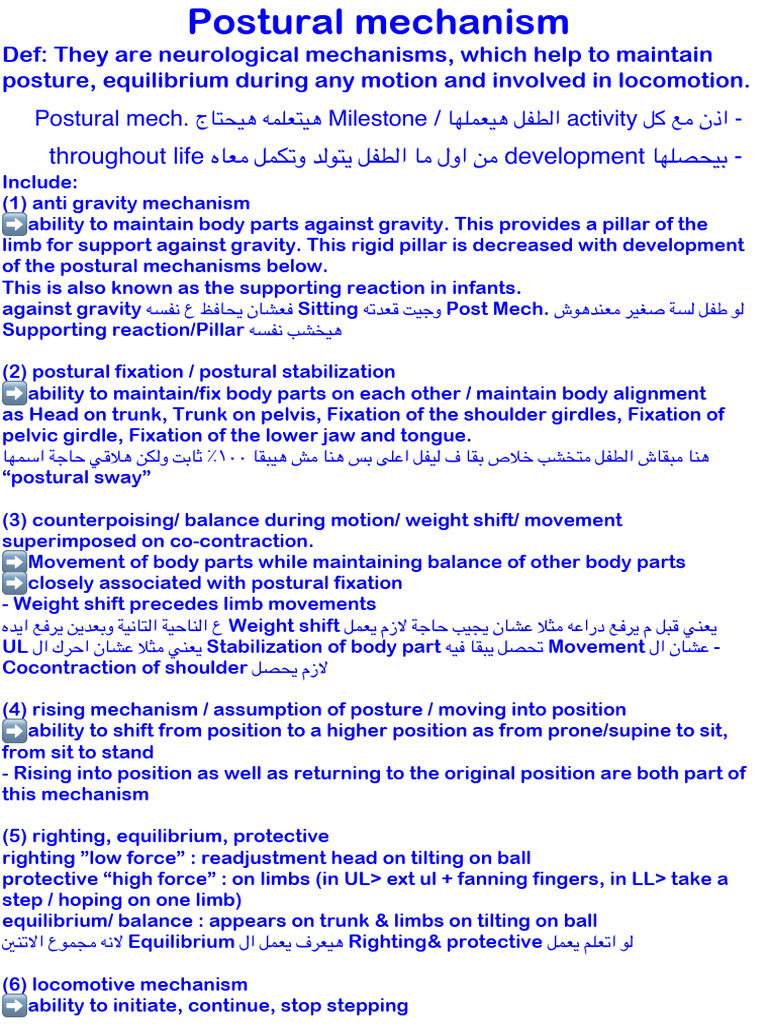 Postural Mechanism - Flattened | PDF | Pelvis | Musculoskeletal System