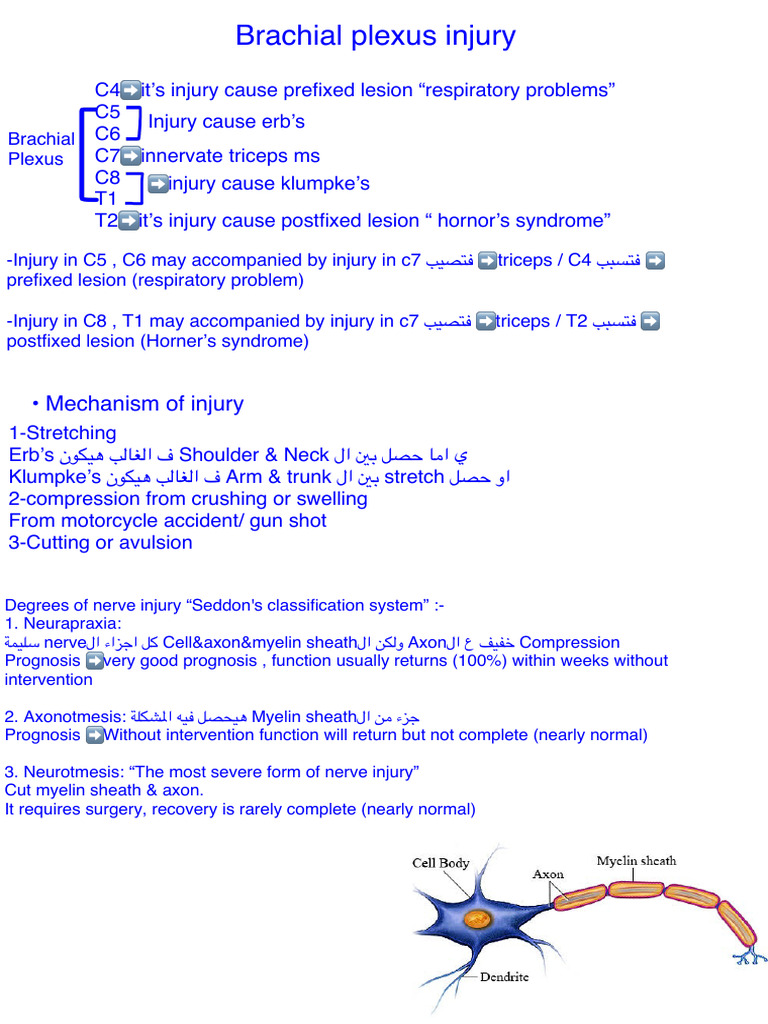Brachial Plexus Injury - Flattened | PDF