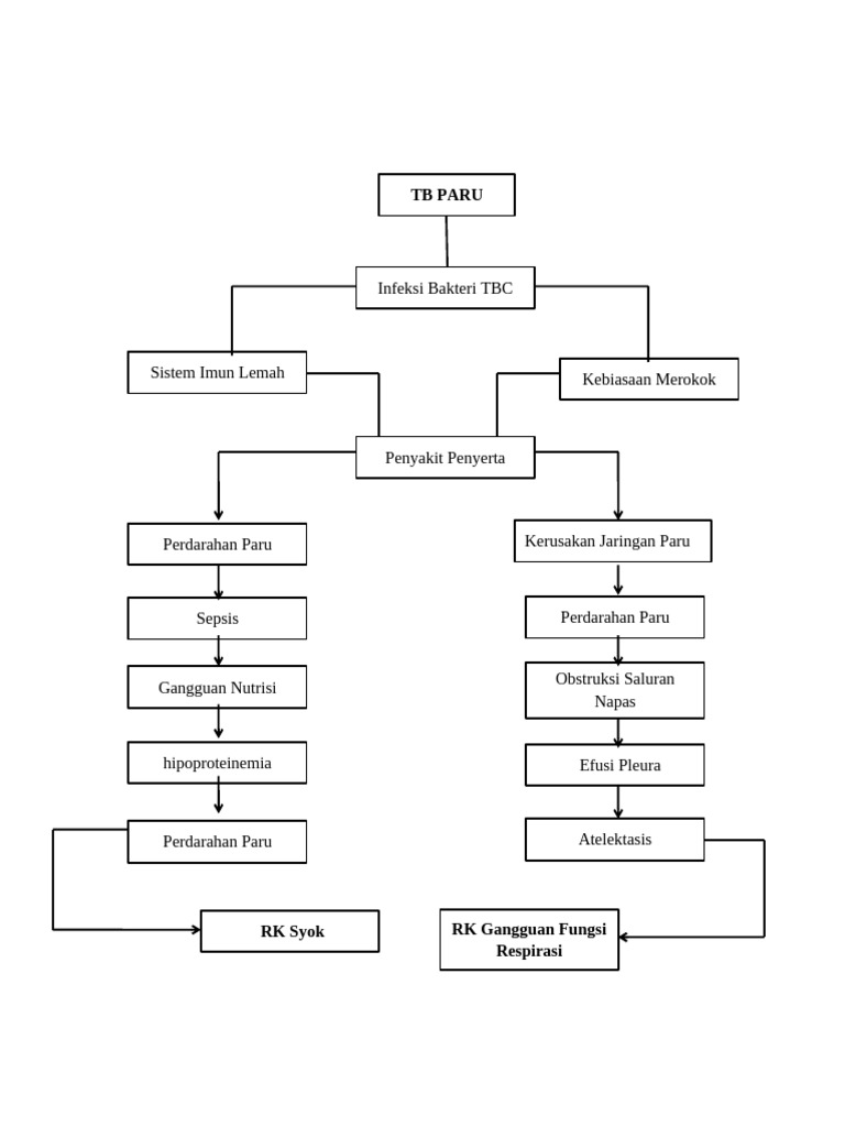 Pathway TB Paru | PDF
