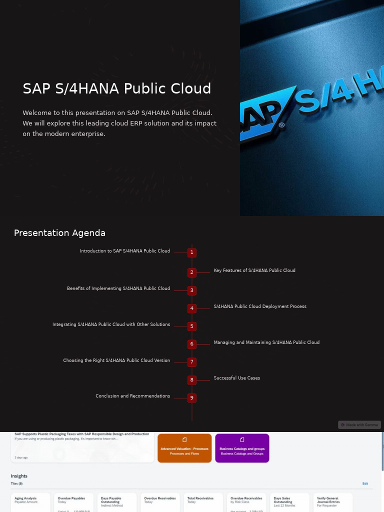 SAP S4HANA Public Cloud | PDF | Cloud Computing | Customer Relationship Management