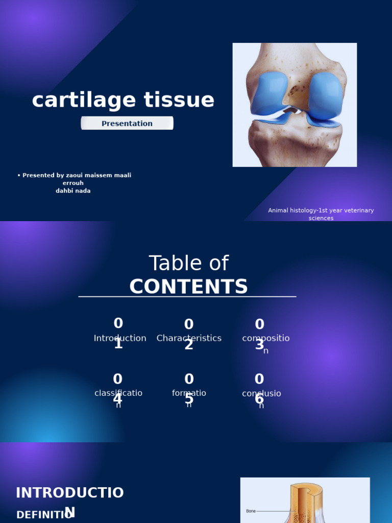 Cartilage Tissue - 200000 | PDF | Cartilage | Connective Tissue