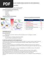 Principio ALARA en Protección Radiológica | PDF | Planificación ...