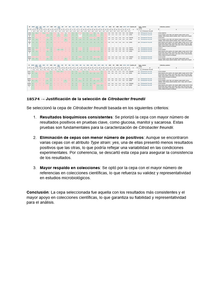 CITROBACTER FREUNDII | PDF