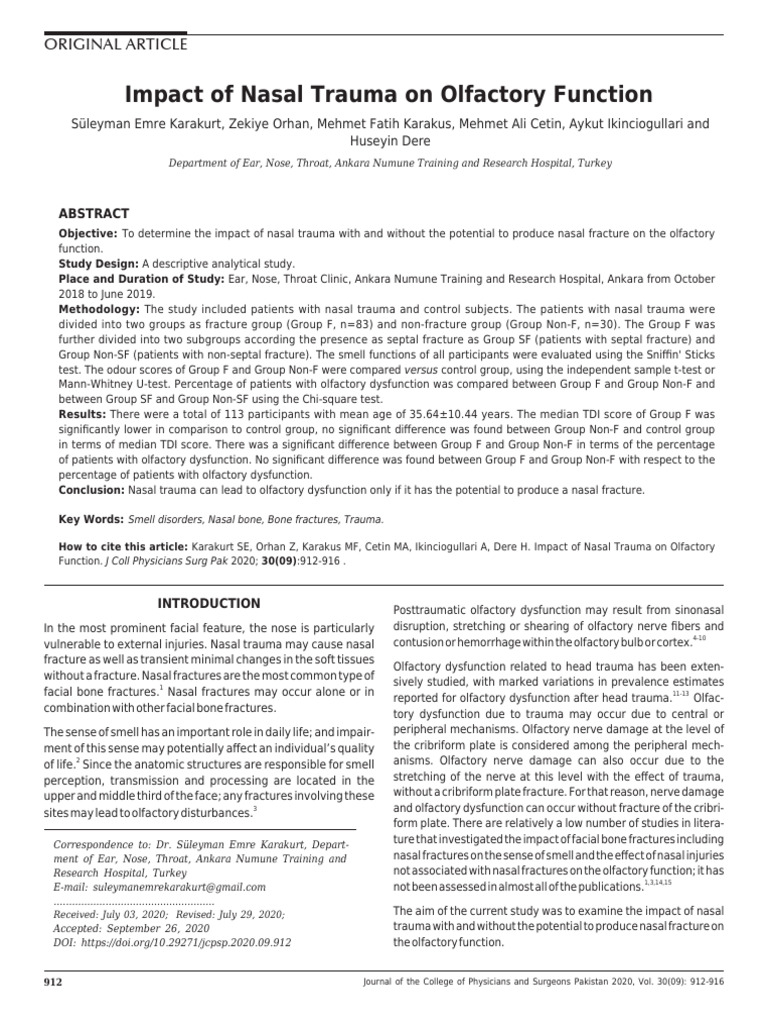 Nasal Trauma's Effect on Smell Function | PDF | Olfactory System ...