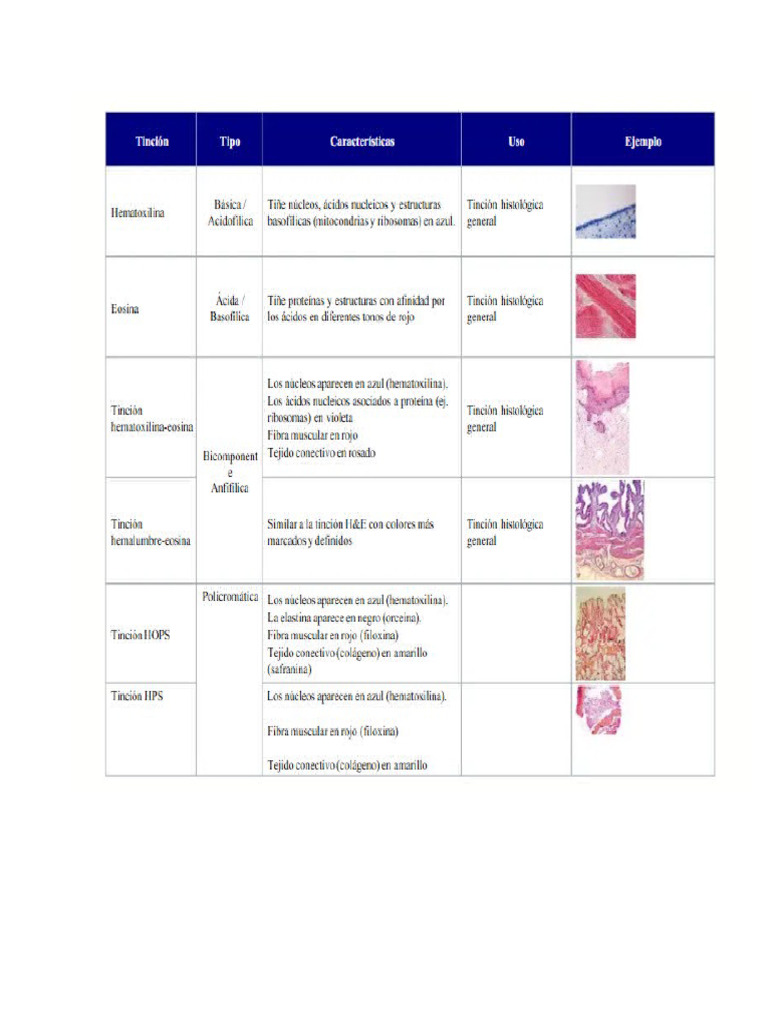 Doc1 Colorantes | PDF