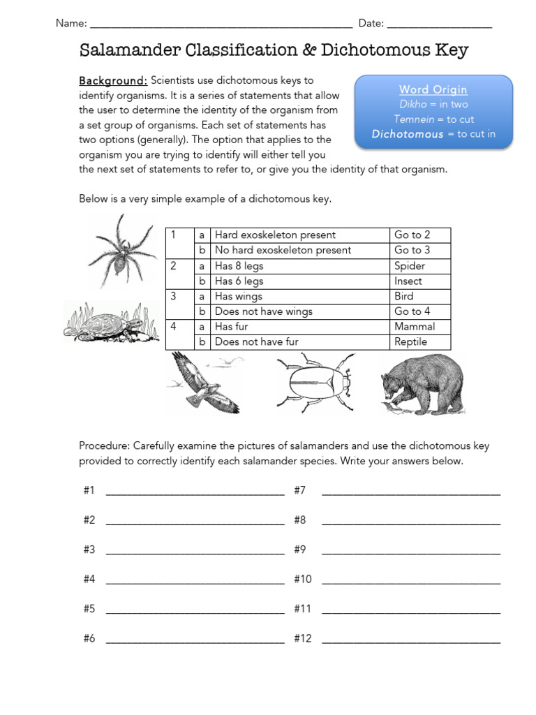 Salamander Classification & Dichotomous Key - With Answers | PDF ...