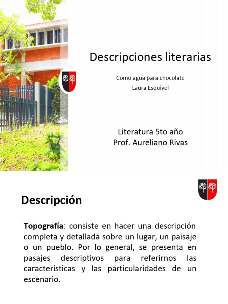 Descripciones Literarias en la Literatura | PDF