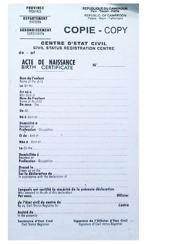 Copie Acte de Naissance Ancien Fomulaire | PDF
